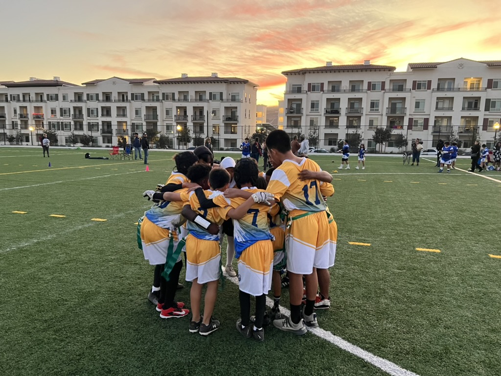 Snowy Owl Sunday Update – November 17th, 2024 – Sonia Sotomayor ...