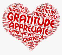 Snowy Owl Sunday Update – April 26th, 2026 – Sonia Sotomayor Elementary ...