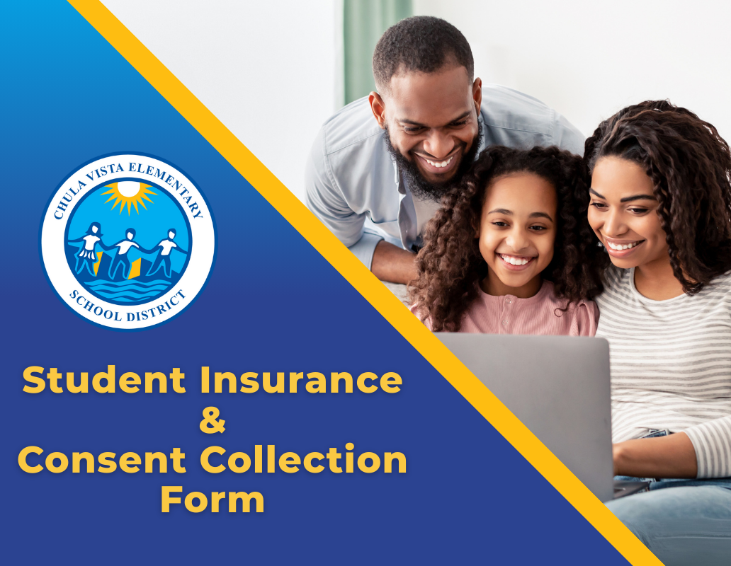 Snowy Owl Sunday Update – September 14, 2025 – Sonia Sotomayor ...